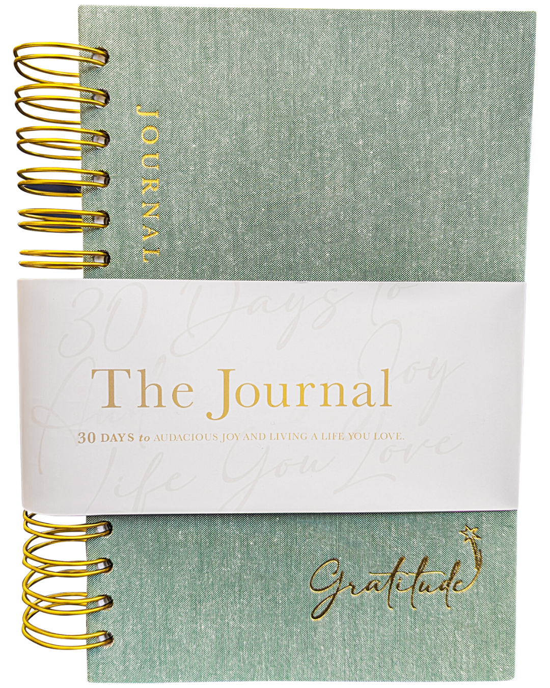 Bulk - Gratitude Journal – Dream Life Books